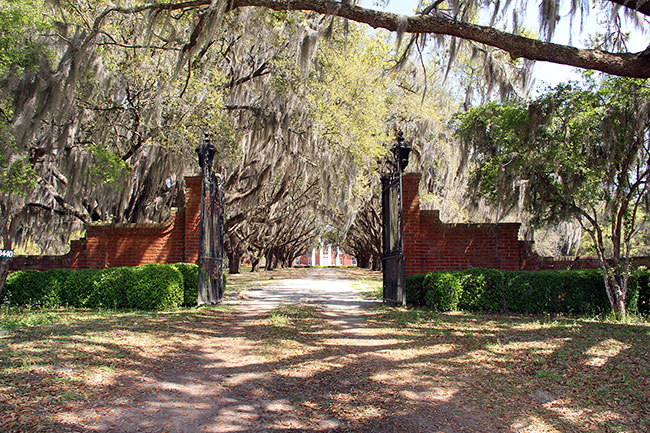 Tall Timbers acquires Dixie Plantation - Tall Timbers