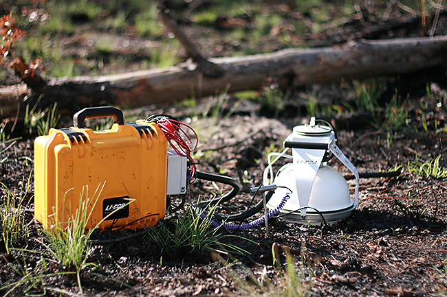 Fire frequency effects on soil respiration - Tall Timbers