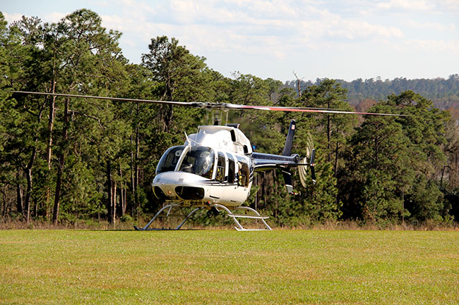 Over 600 Come to Tall Timbers to Learn About Fire - Tall Timbers
