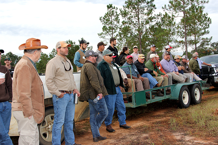 A Look Back at 2019 - Tall Timbers