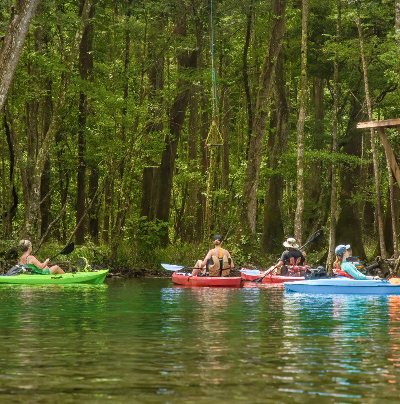 Exploring The Aucilla River Watershed - Tall Timbers