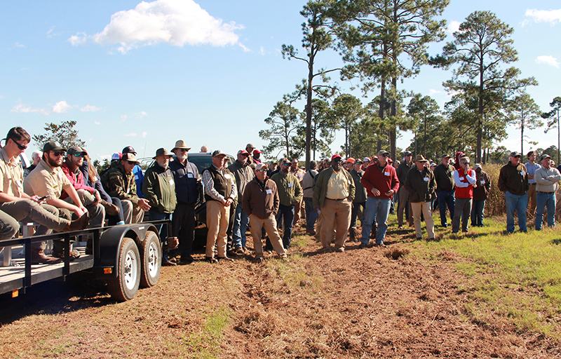 Fall Field Day Returned to Nilo - Tall Timbers