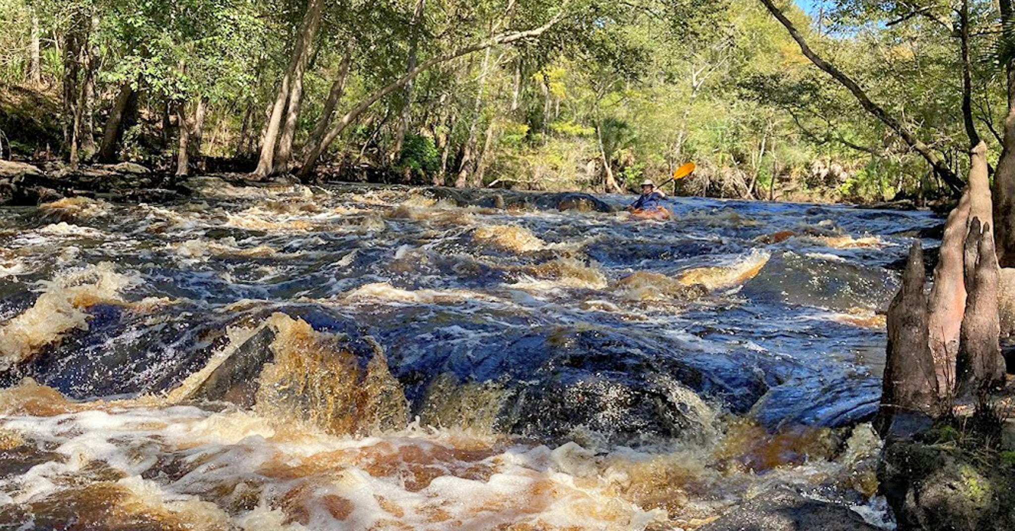 34 Landowners Enroll in New Conservation Partnership - Tall Timbers