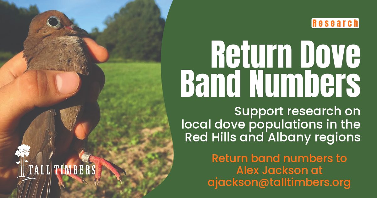 Return Dove Band Numbers for Recurring Study - Tall Timbers