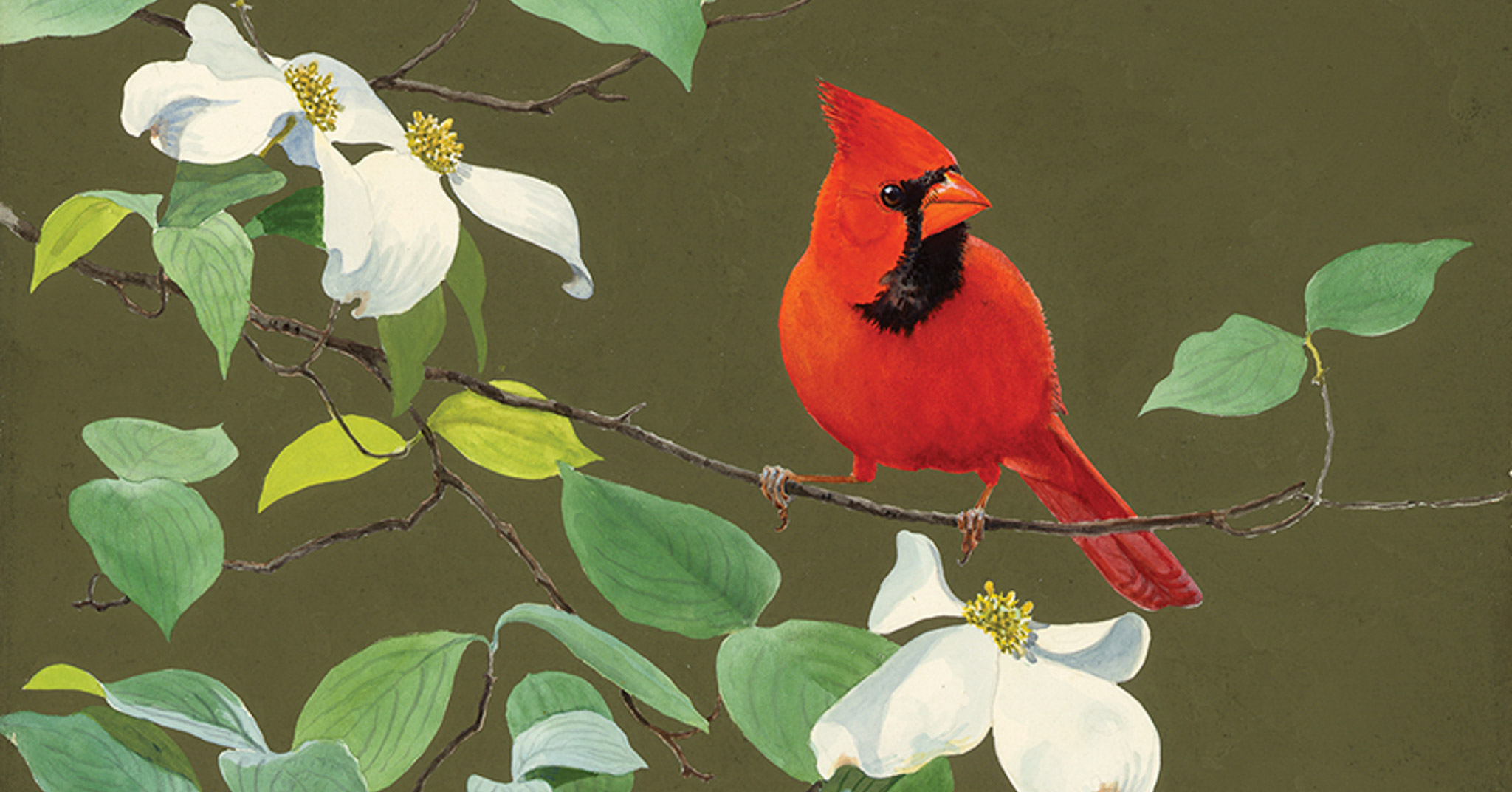 A look back at the making of Georgia Birds: Burleigh, Sutton, Stoddard ...