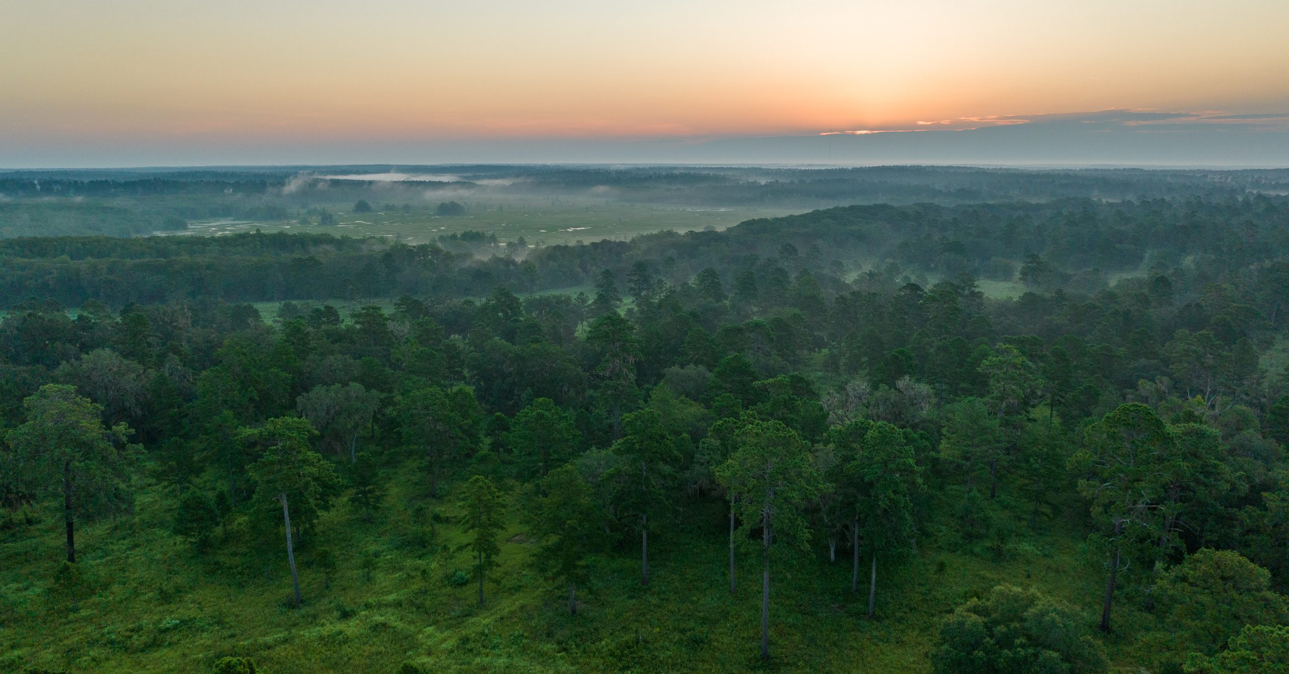 Public and private commitment is key to connecting Red Hills ...