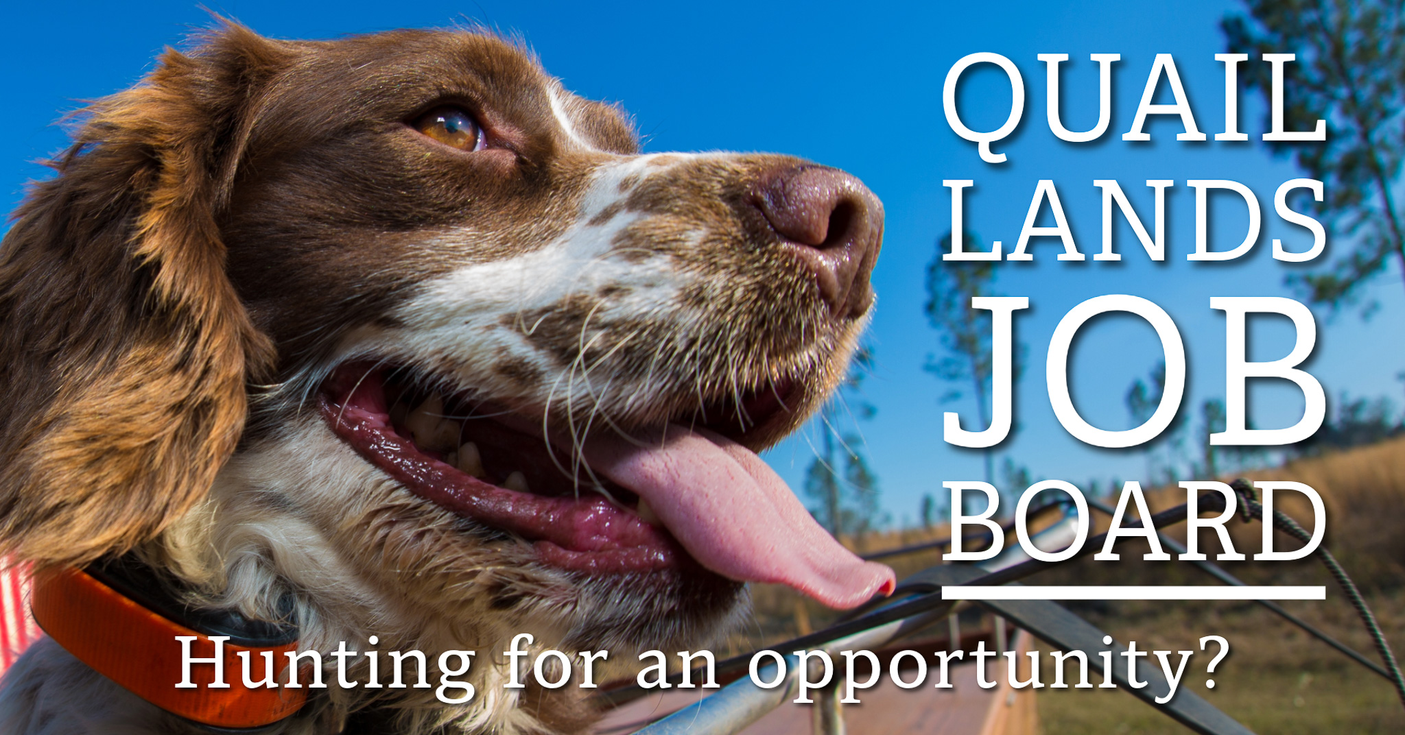 By the numbers: 5 Years of Growth on the Quail Lands Job Board - Tall ...